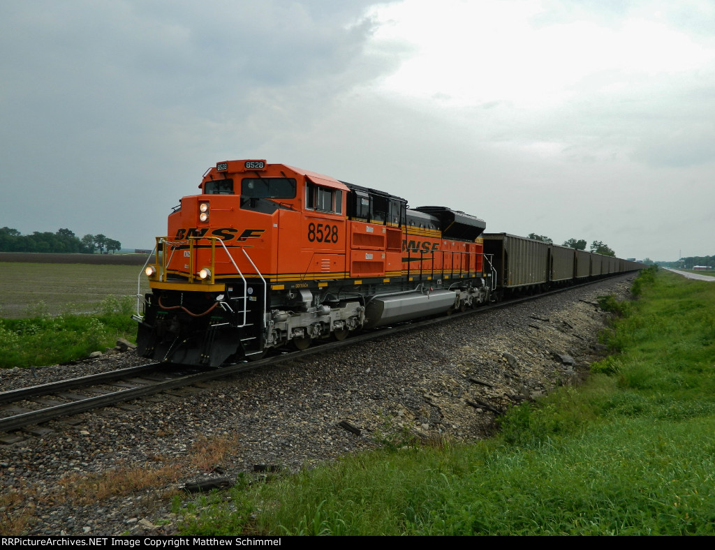 New ACe To Brighten A Cloudy Day!